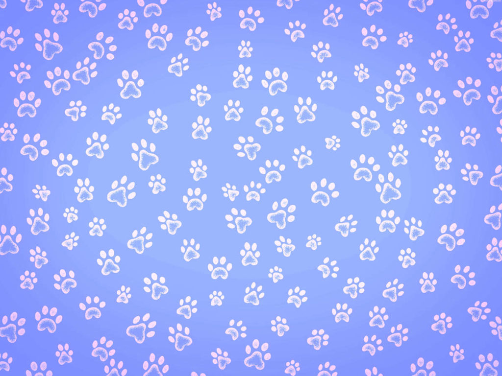 dog-paws-pattern - animal_artistry_grooming